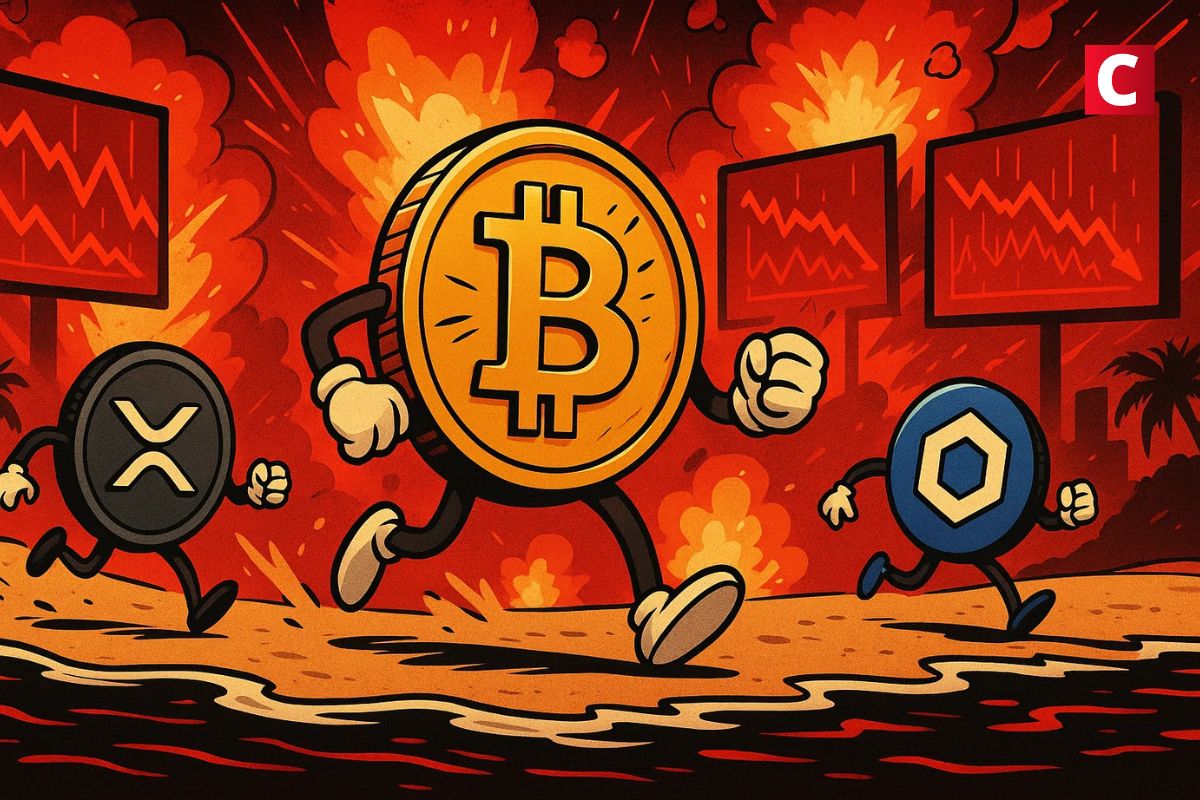 Samadhi amour mila she appears to be very admired, not