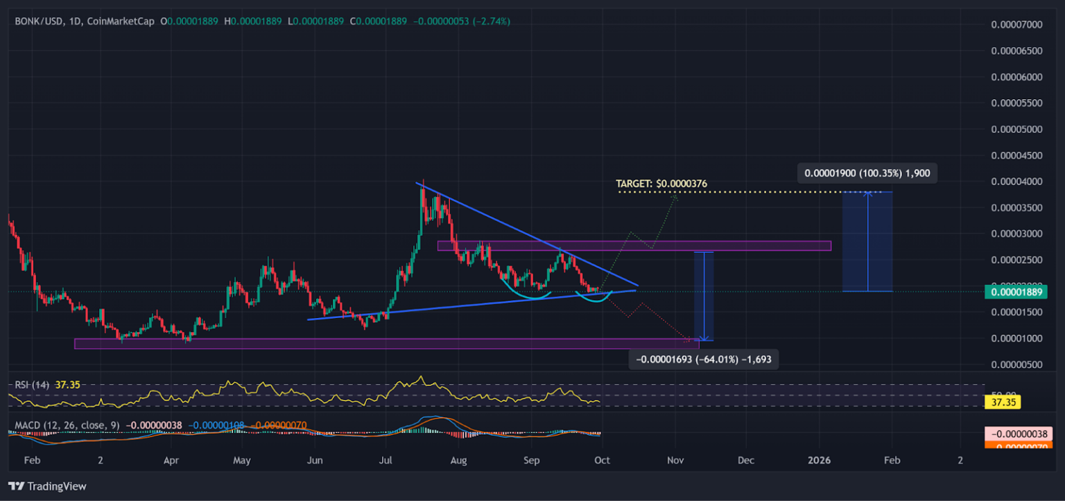 Bonk Price Prediction: Double Bottom + Oversold Signal – Perfect Entry ...